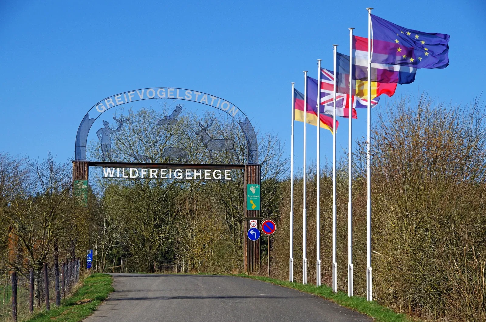 Greifvogelstation & Wildfreigehege Hellenthal (Hellenthal) - Visitor Information & Reviews