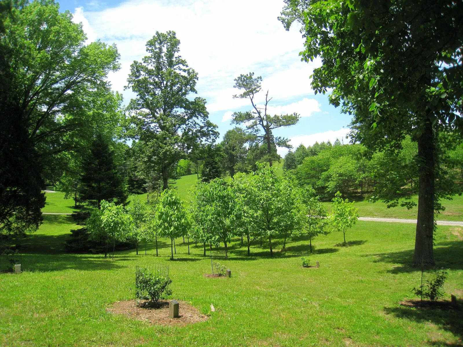 UT Arboretum (Oak Ridge) - Visitor Information & Reviews