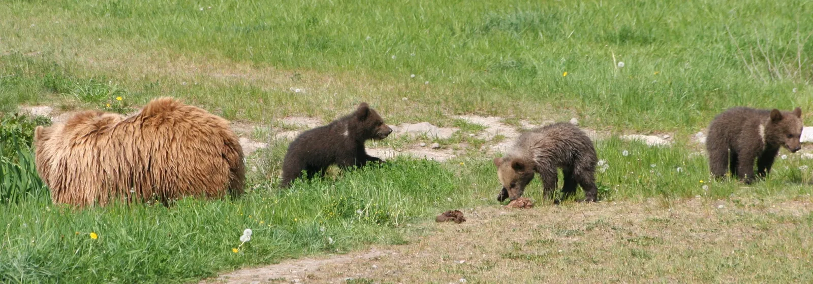 Wildpark Poing (Poing) - Visitor Information & Reviews