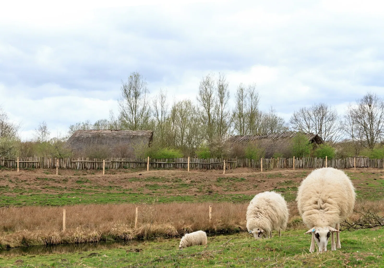 Arche Warder (Warder) - Visitor Information & Reviews