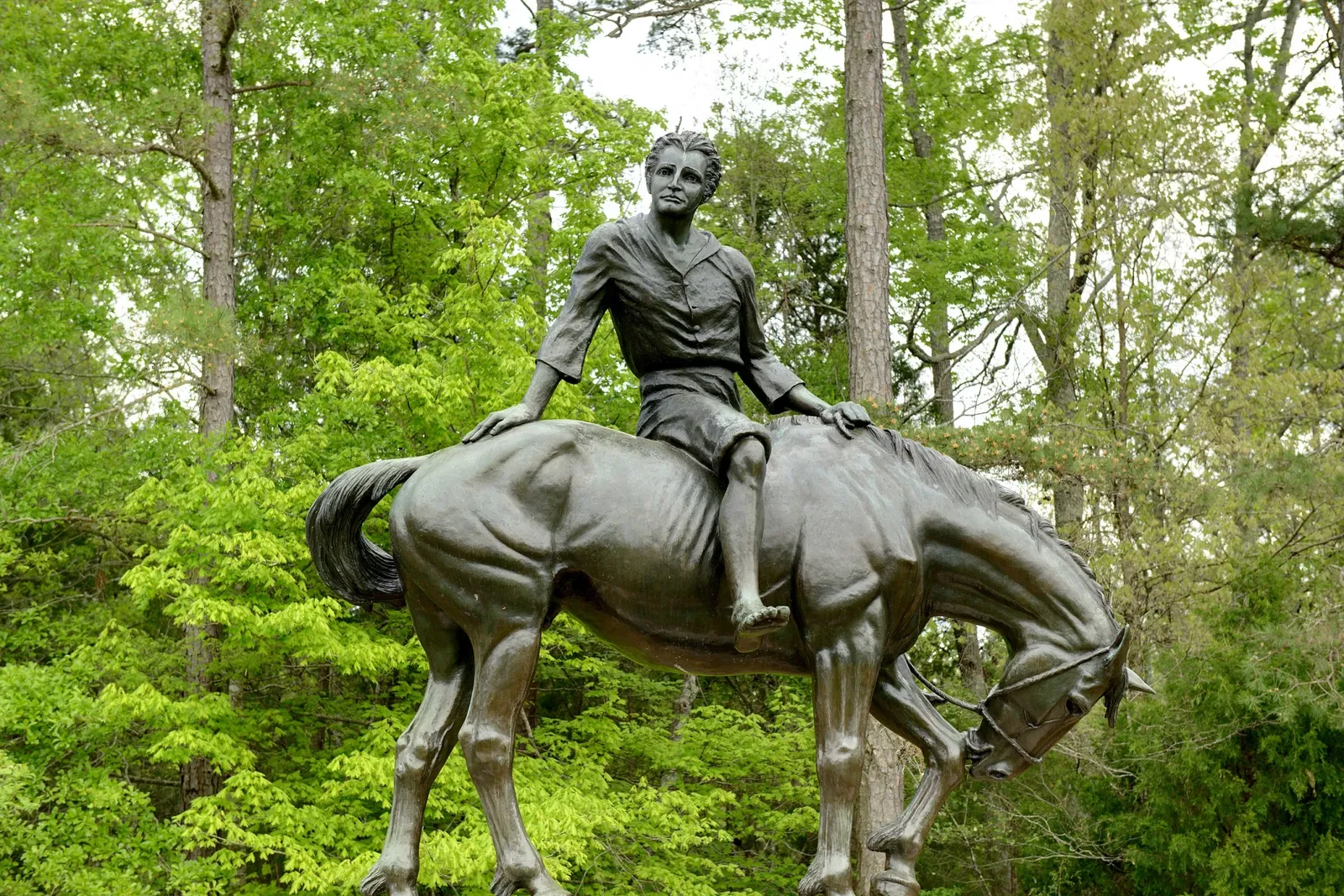 Andrew Jackson State Park (Lancaster) - Visitor Information & Reviews