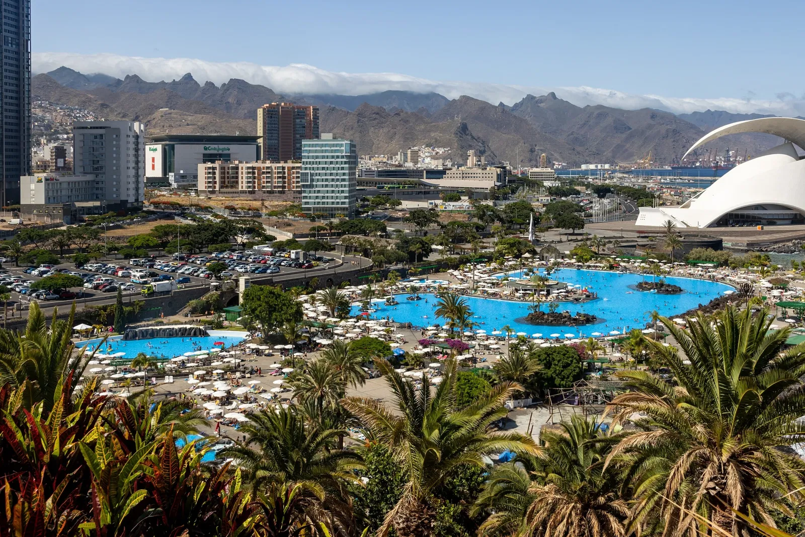 Palmetum of Santa Cruz de Tenerife (Santa Cruz de Tenerife) - Visitor ...