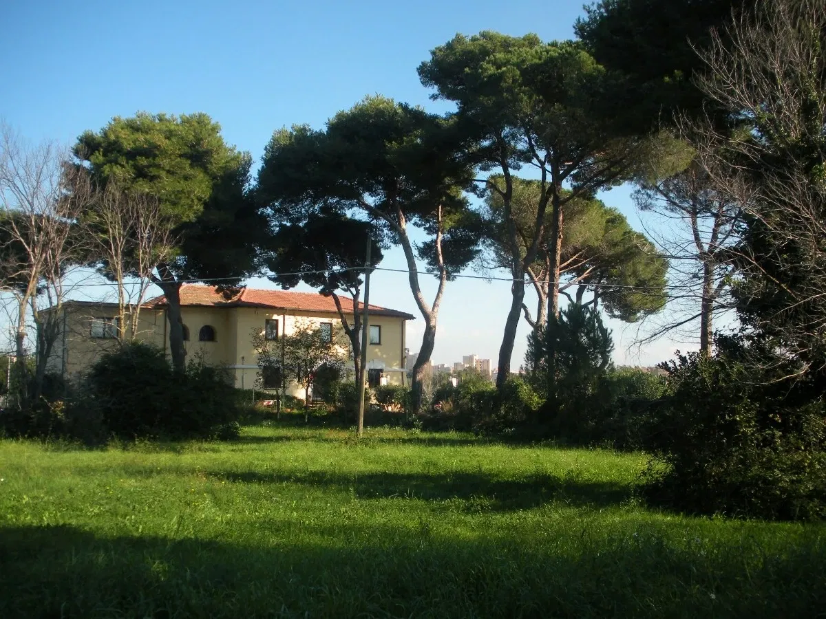 Museo Civico Archeologico Lavinium (Pomezia) - Visitor Information ...