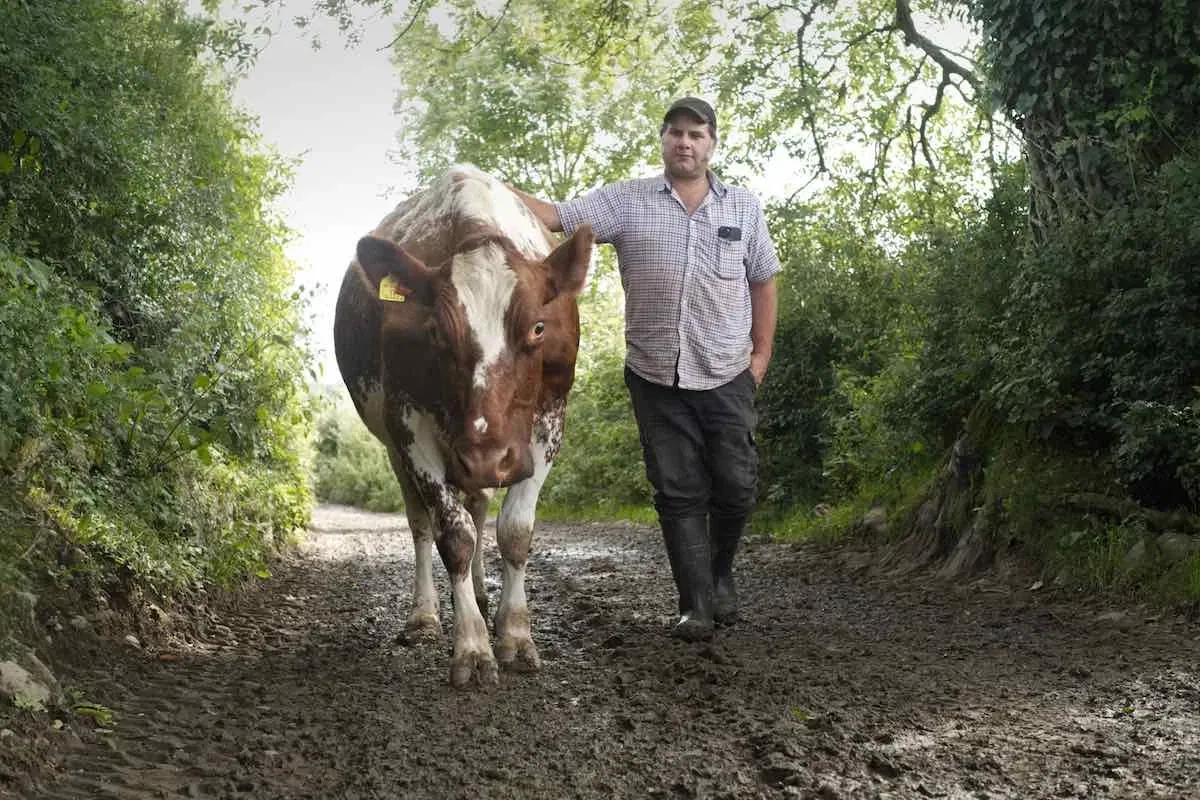 Johannes Pretorius - Exhibition at Abbot Hall Art Gallery