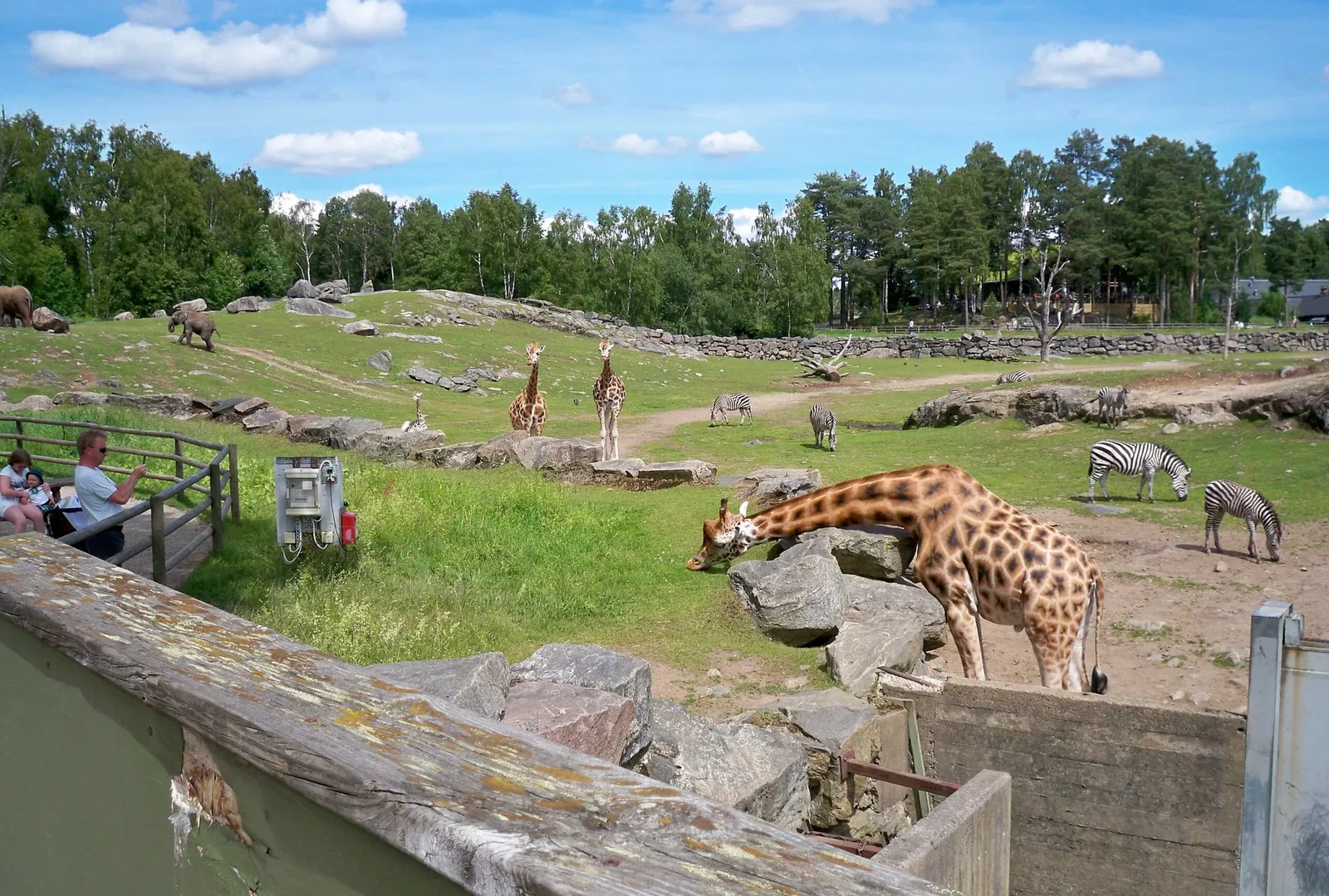 Borås ZOO (Borås) - Visitor Information & Reviews