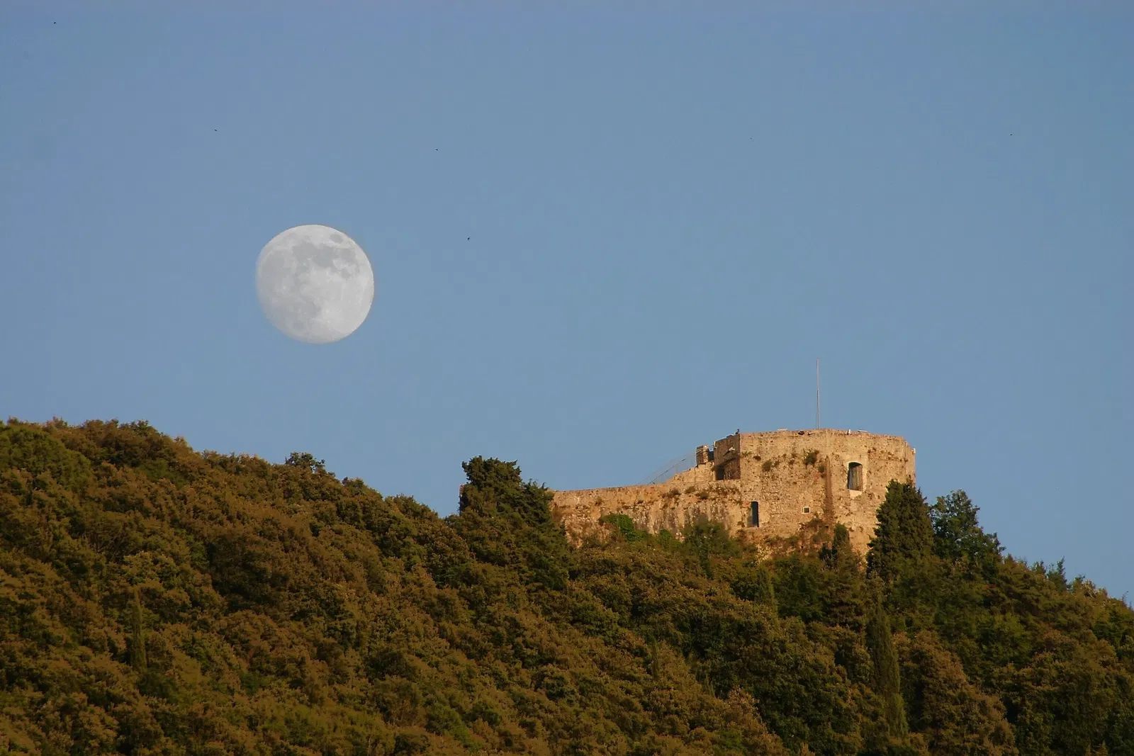 Aghinolfi Castle (Montignoso) - Visitor Information & Reviews