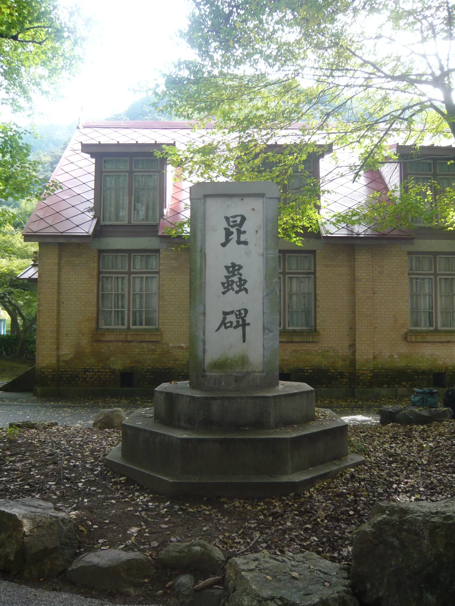 Nawa Insect Museum (Gifu) - Visitor Information & Reviews