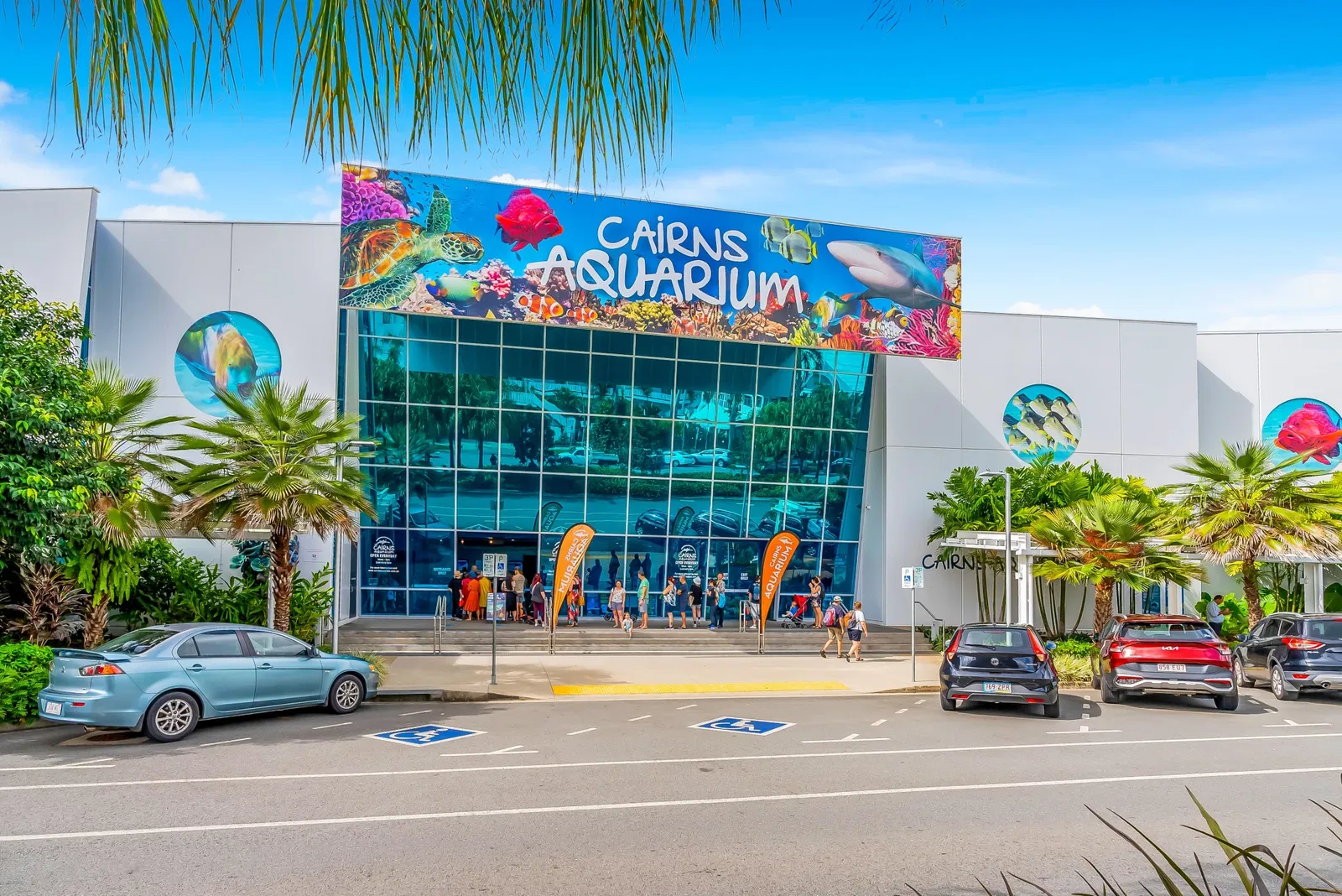 Cairns Aquarium (Cairns City) - Visitor Information & Reviews