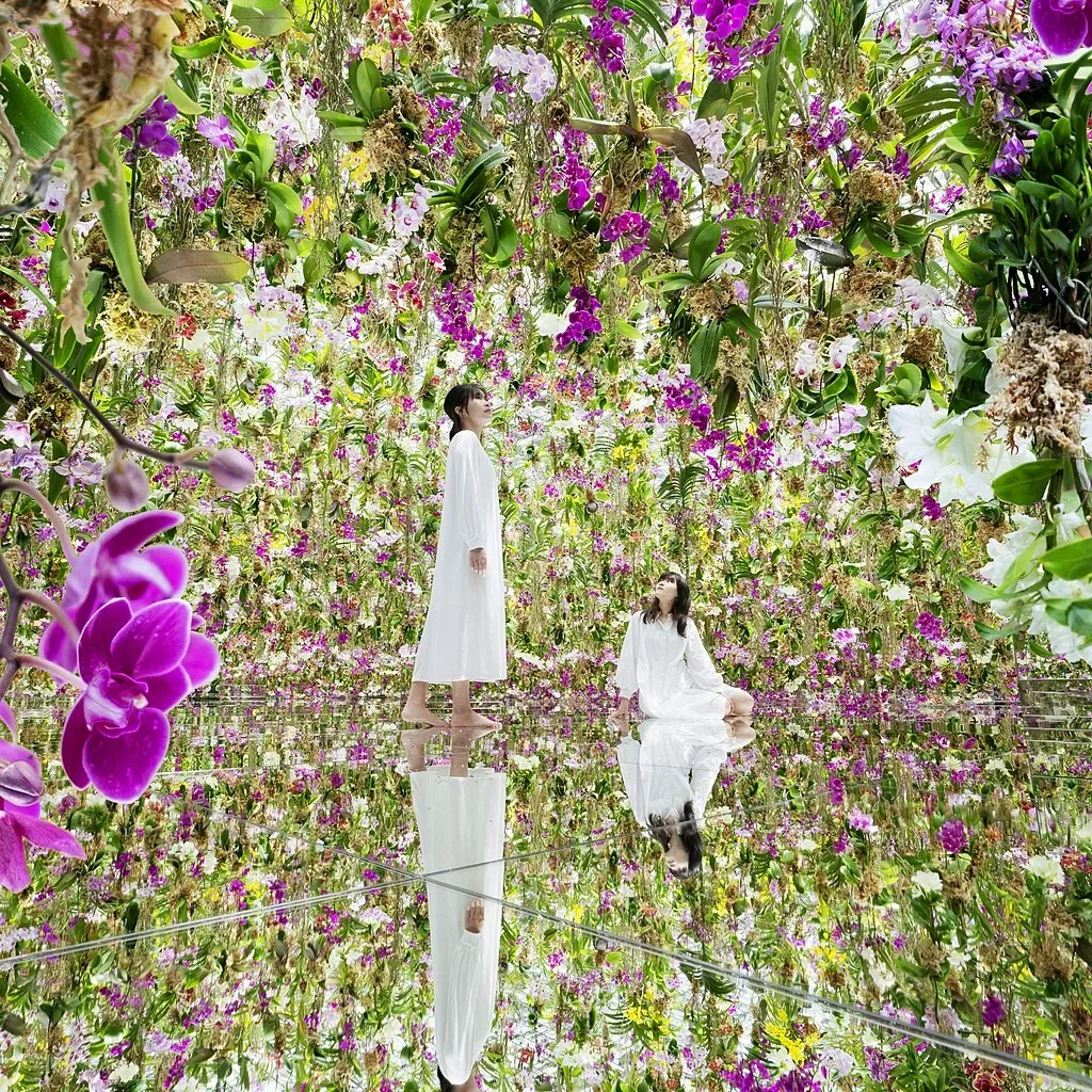 Tickets, Prices & Discounts - TeamLab Planets TOKYO DMM.com (Koto)