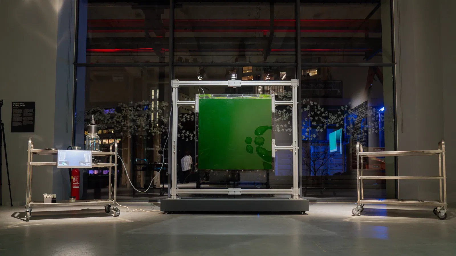 Sensing Otherness / Navigating the more-than-human world - Exhibition ...