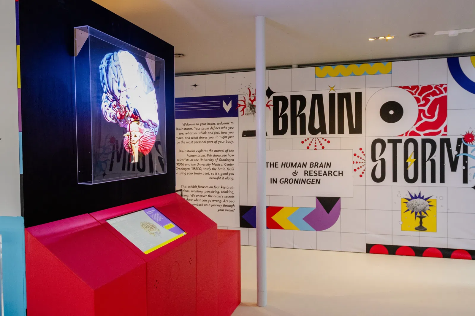 Brainstorm: The Human Brain & Research - Exhibition at University ...