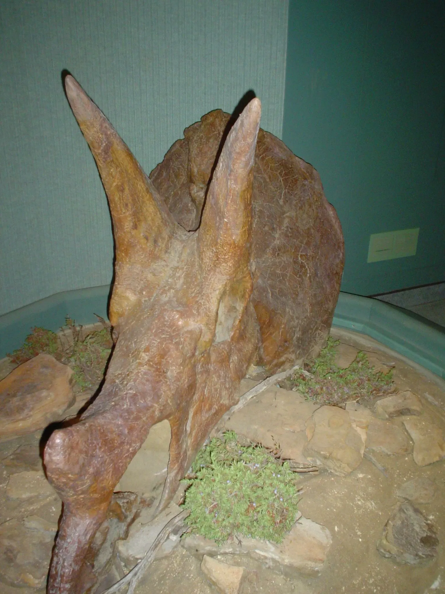 Royal Saskatchewan Museum (Regina) - Visitor Information & Reviews