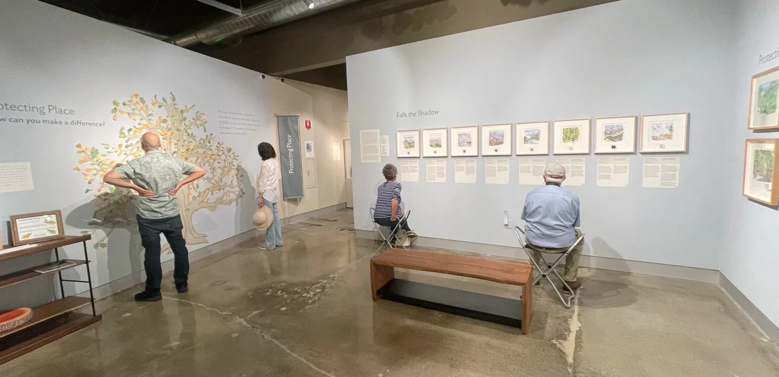 Protecting Place - Exhibition at The Foster Museum