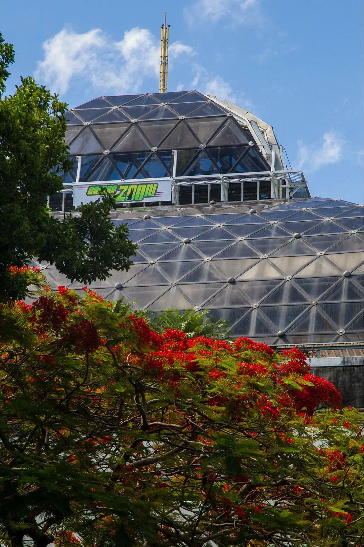 Cairns ZOOM and Wildlife Dome (Cairns City) - Visitor Information & Reviews