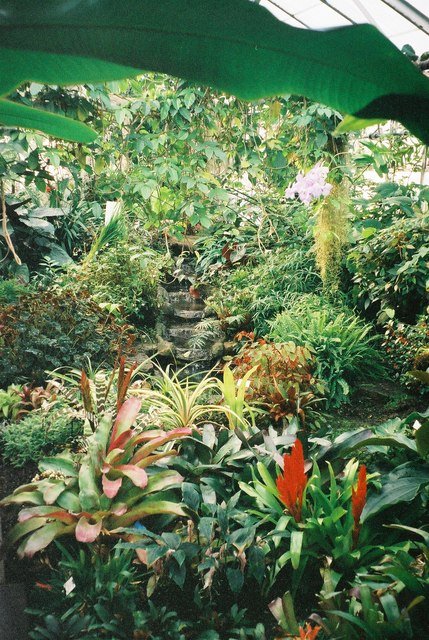 St Andrews Botanic Garden (Saint Andrews) - Visitor Information & Reviews