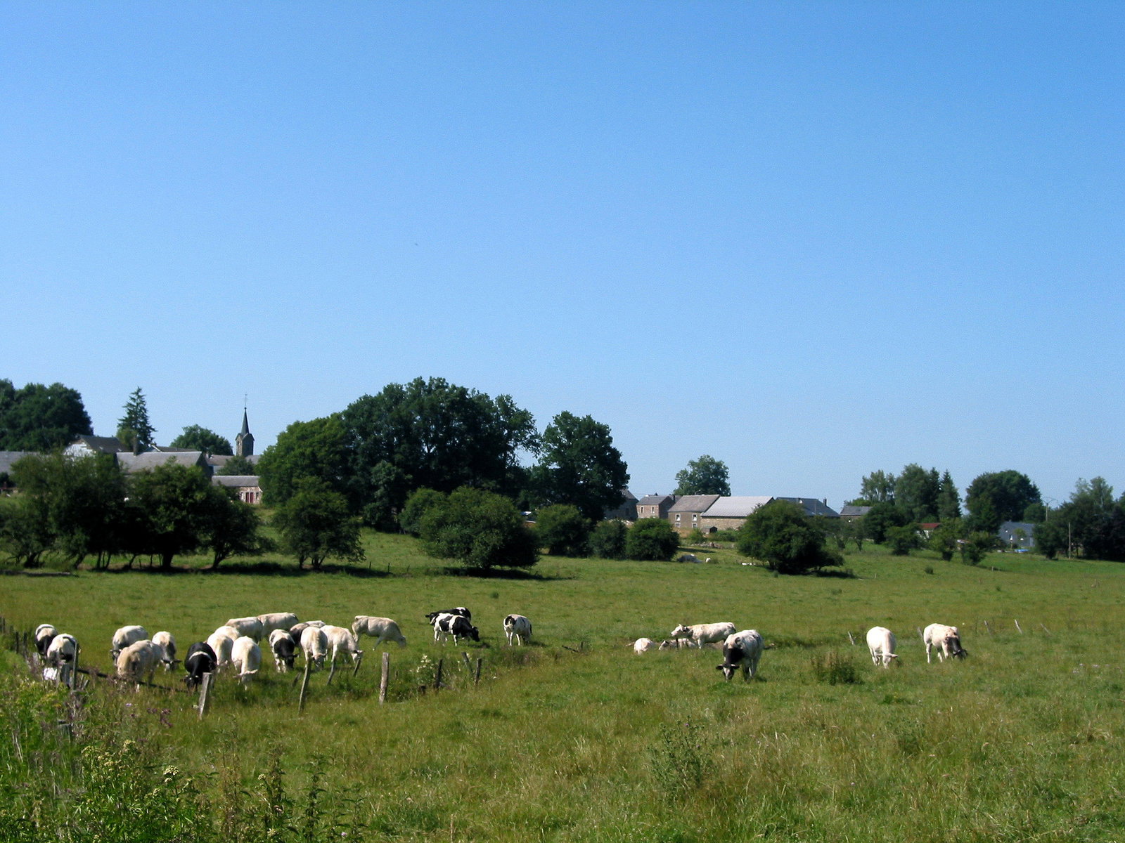 Tillet: Discover all 1+ Museums, Exhibitions & Discounts