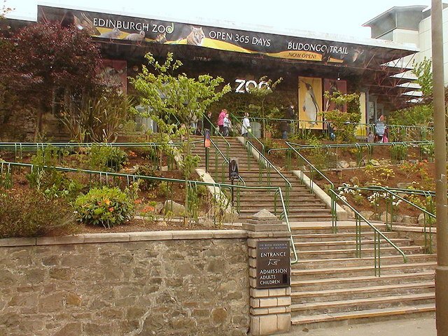 Tickets, Prices & Discounts - Edinburgh Zoo (Edinburgh)