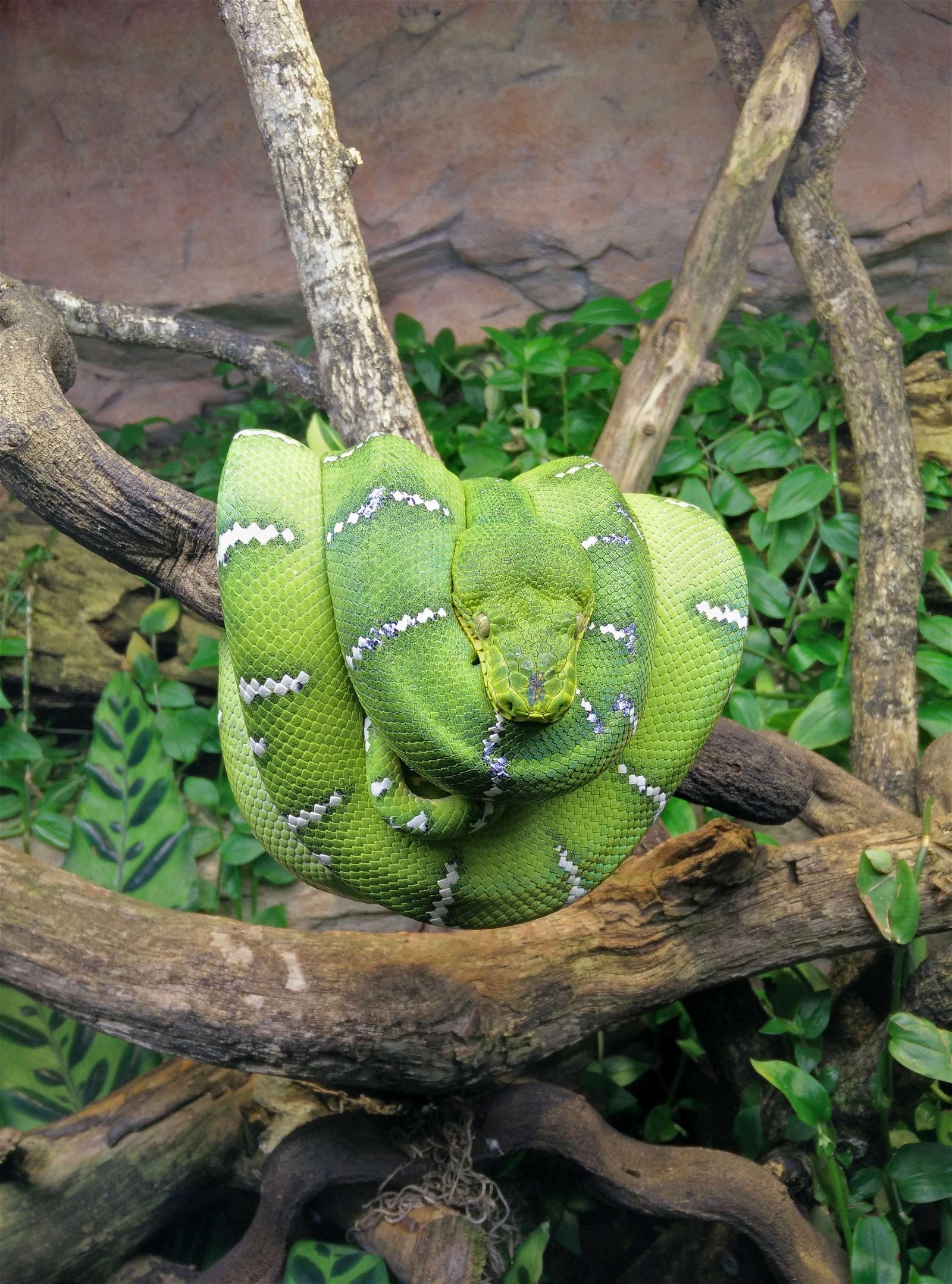 Skansen - Akvariet (Stockholm) - Visitor Information & Reviews