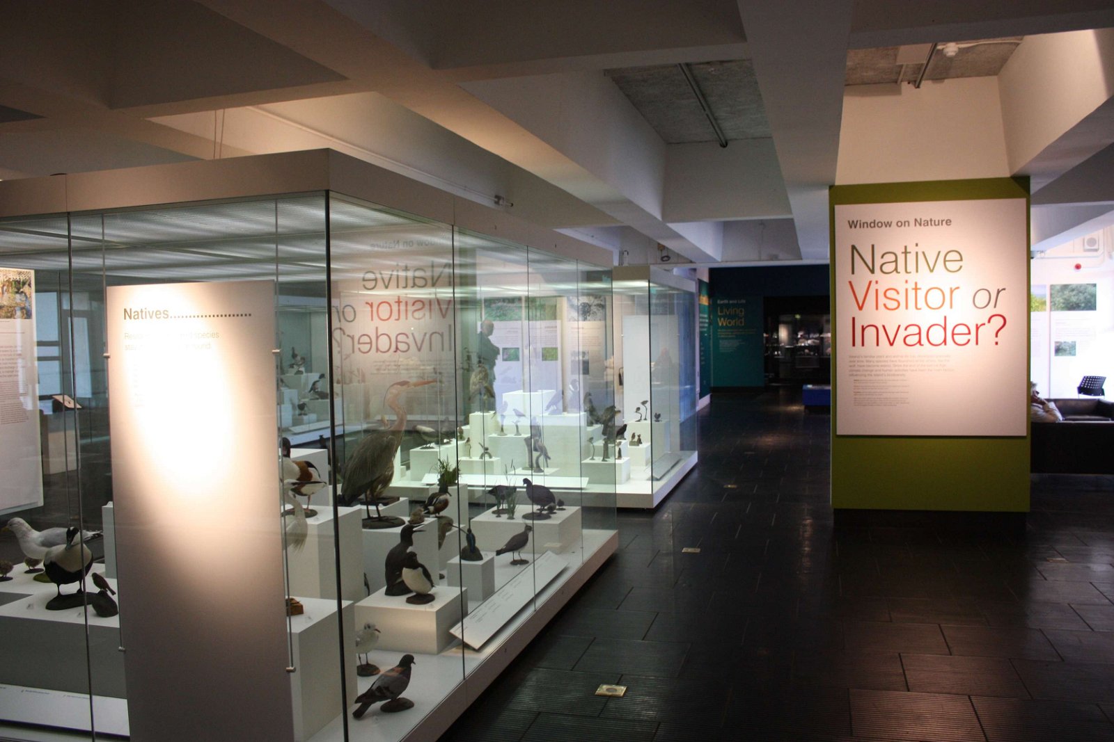 Ulster Museum (Belfast) - Visitor Information & Reviews